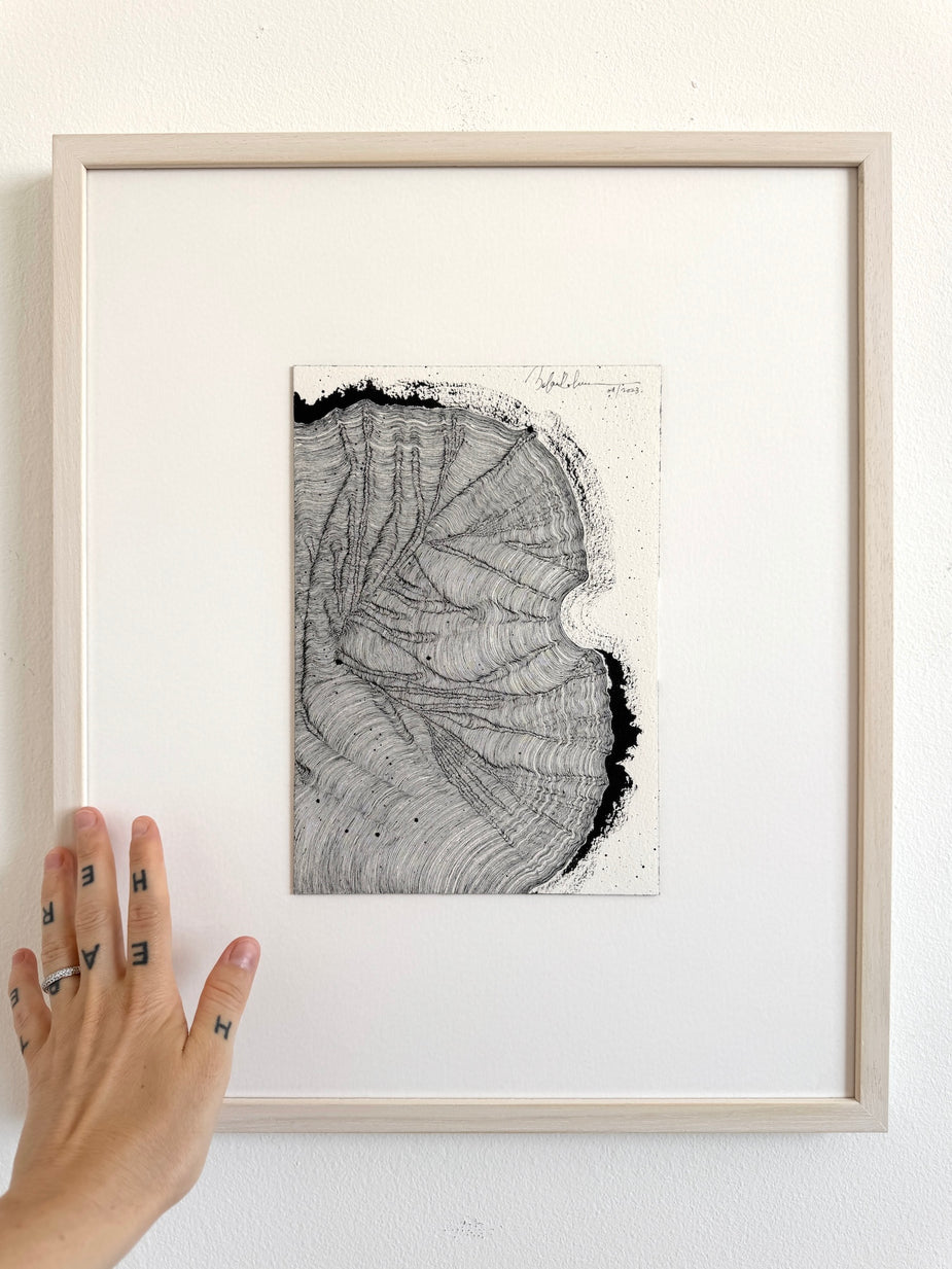 Life of A Symphony (Fine Art Print) – Boffo Roberta